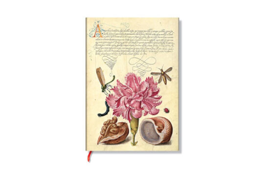 PAPERBLAN Notizbuch blanco Midi FB9728-0 Rosa Nelke 88 Blatt - Paul ...