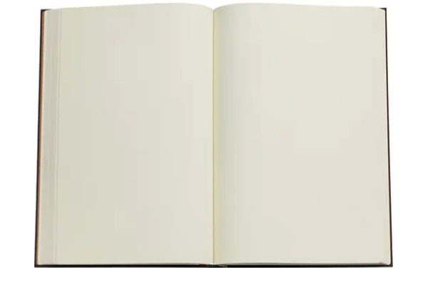 PAPERBLAN Notizbuch blanco Ultra FB1539-1 New York Rose 88 Blatt - Paul ...